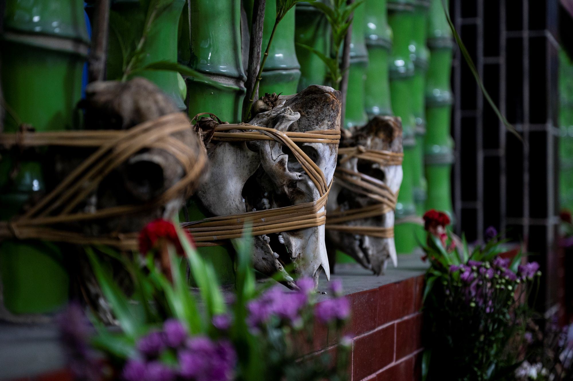 France Arles Photography Festival features Taiwanese Indigenous works